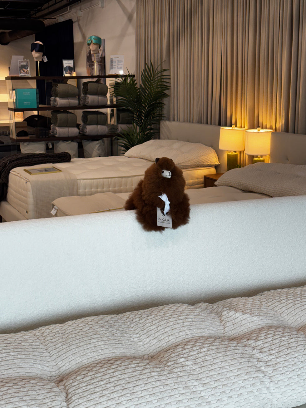 Foreverbed Flagship Store
